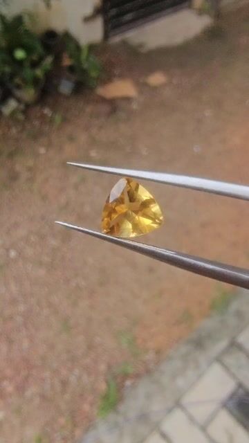 Natural Yellow Citrine 1.45CT Eye Clean Auction | Gemora